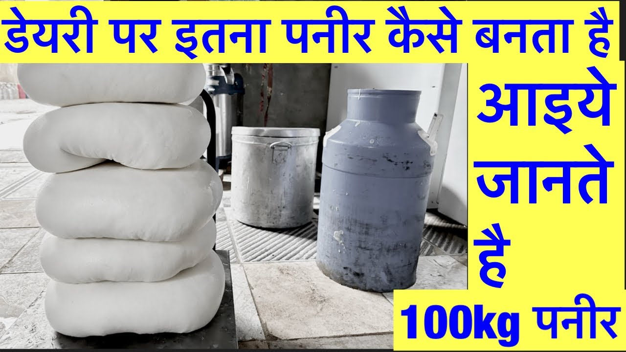 paneer making factory || paneer making process - YouTube