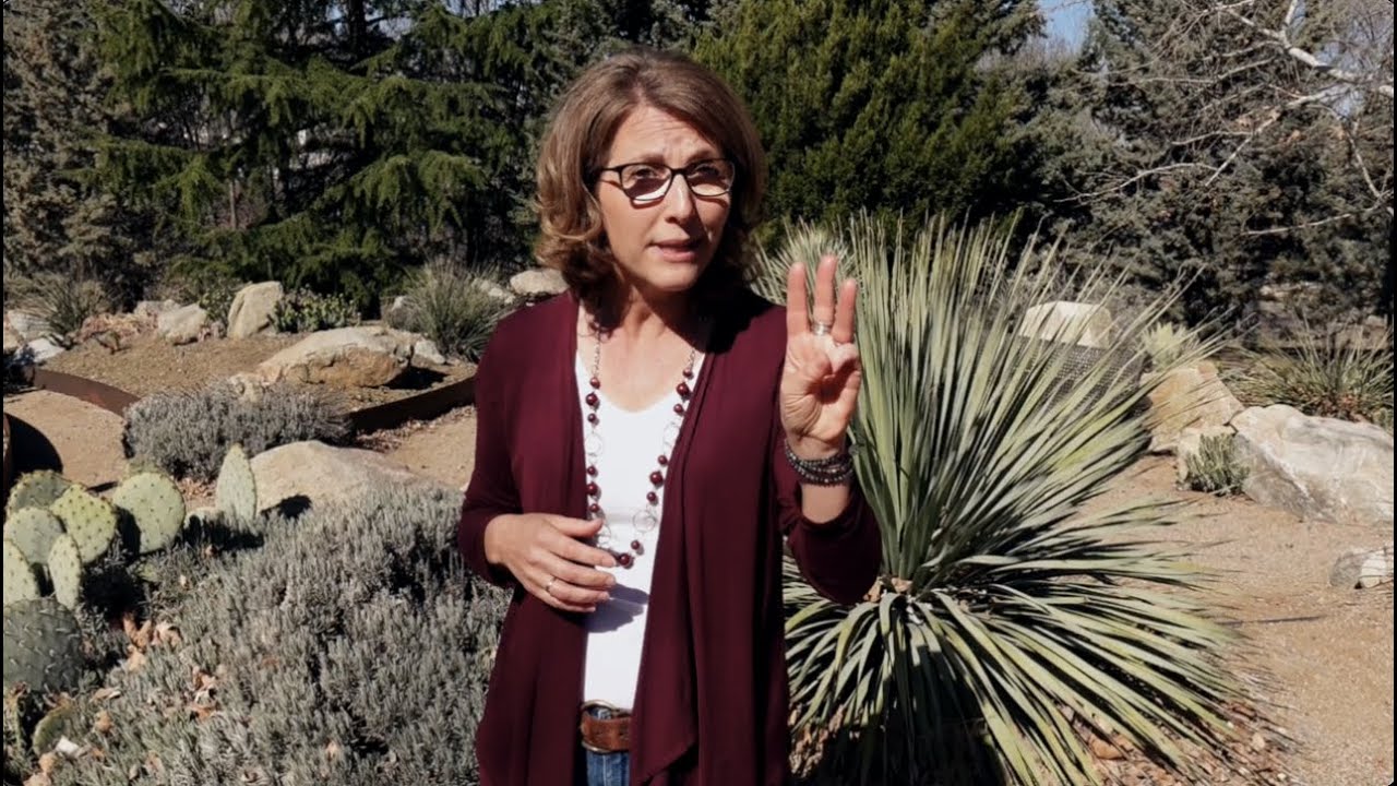 Overcome Fear - A Polara Mental Health Moment with Tamara Player - YouTube