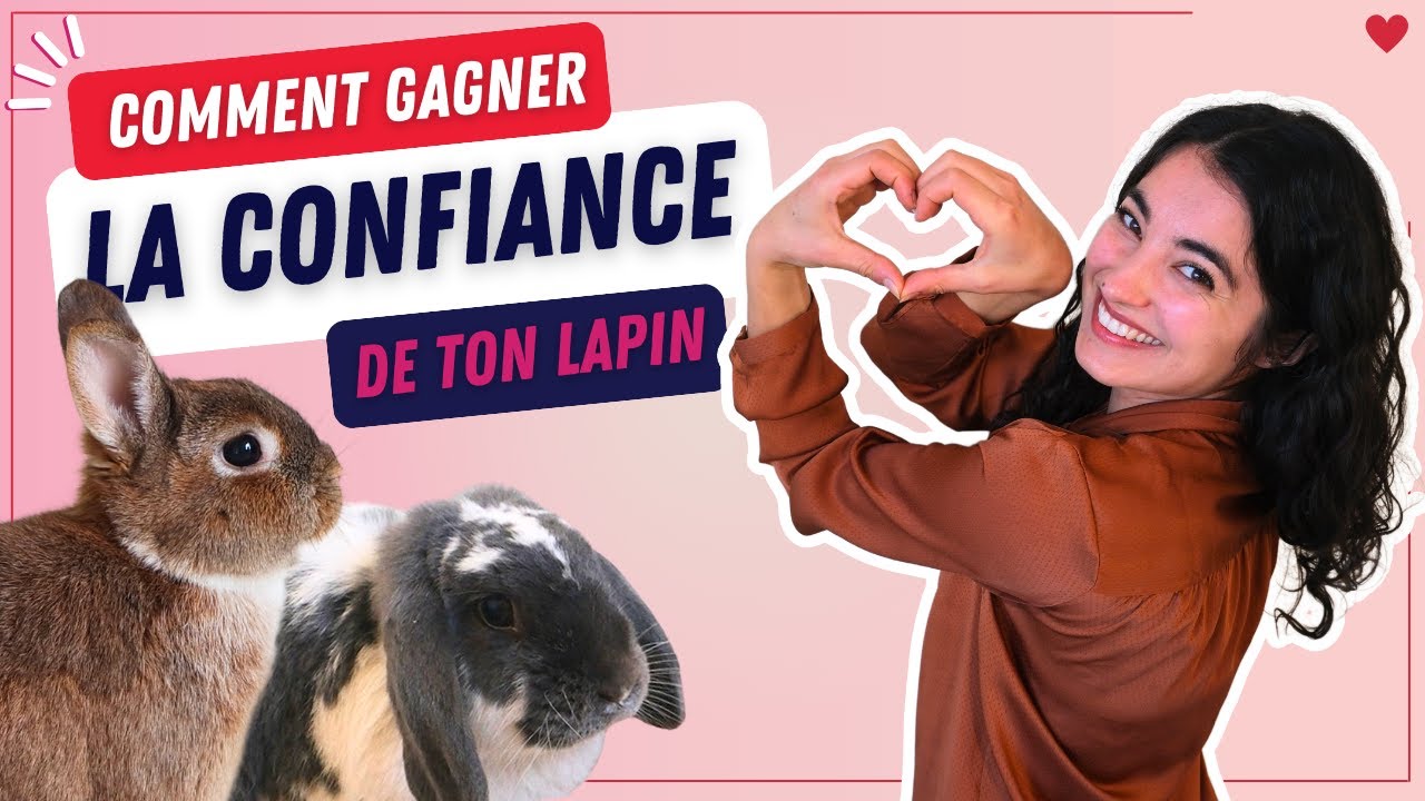 Gagne la confiance de ton lapin 🥰 Il va enfin t'aimer ️ - YouTube