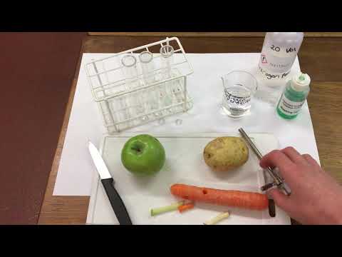 How To Experiment With Catalase