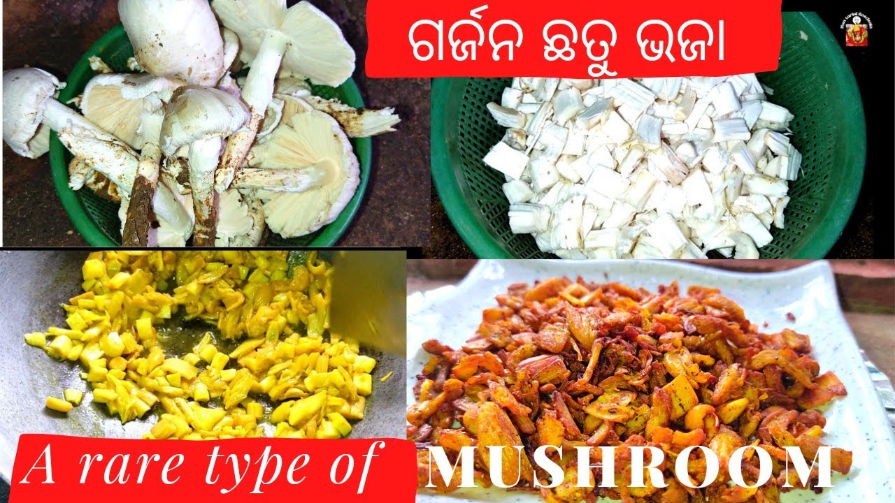 ମା'ଙ୍କ ହାତ ତିଆରି ଗର୍ଜନ ଛତୁ ଭଜା|chhatu bhaja recipe|chhatu bhaja recipe ...