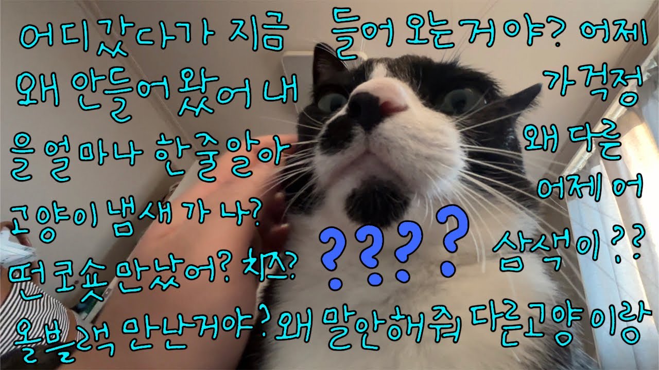 집사침대 - YouTube