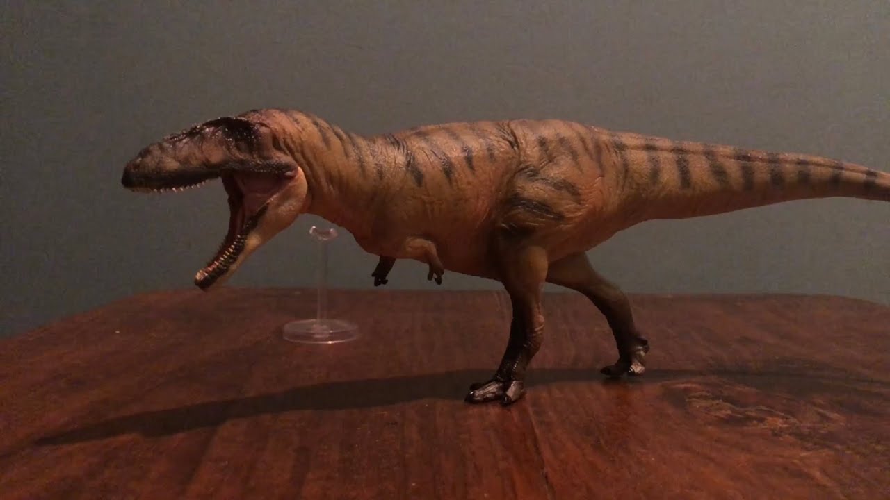 PNSO Gamba the Carcharodontosaurus Review - YouTube