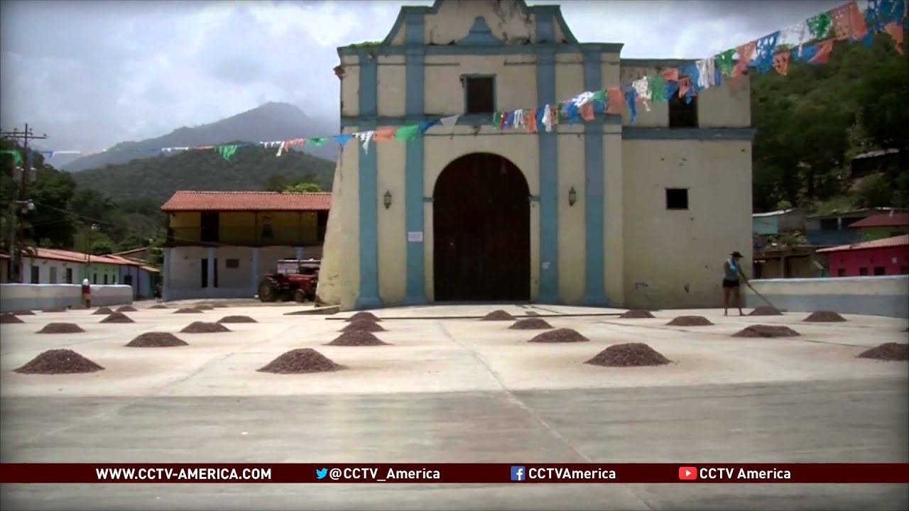 Chuao, Venezuela major producer of cocoa beans - YouTube