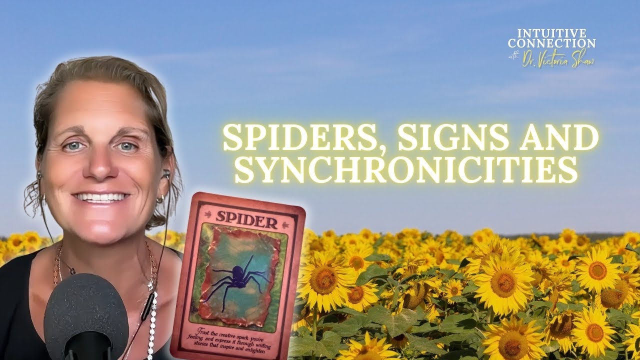 Spiders, Signs and Synchronicities - YouTube