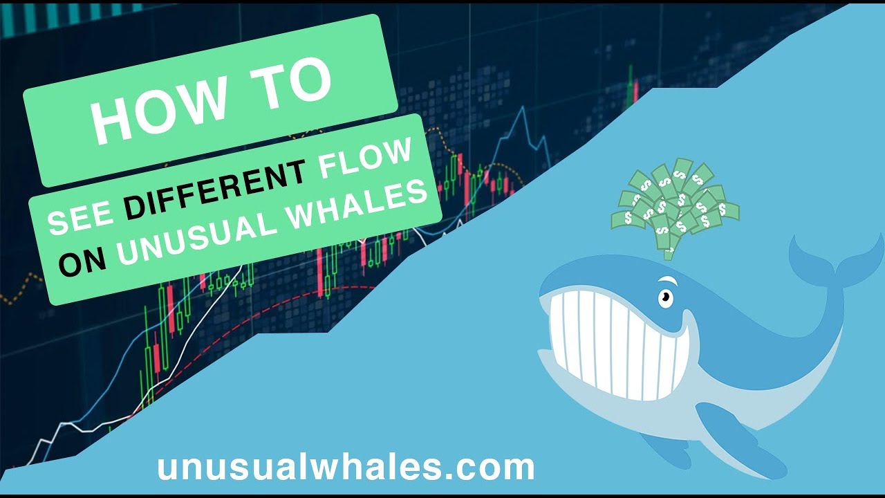 How To: Flow updating on Unusual Whales (OUTDATED) - YouTube