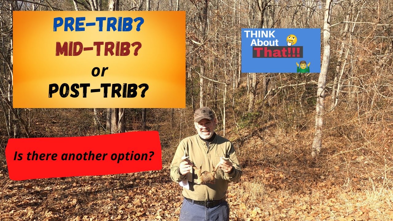 Pre Trib? Mid Trib? or Post Trib? - YouTube
