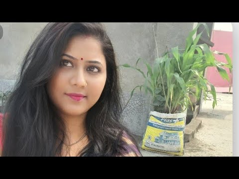 Adho alo chayate kichu - YouTube