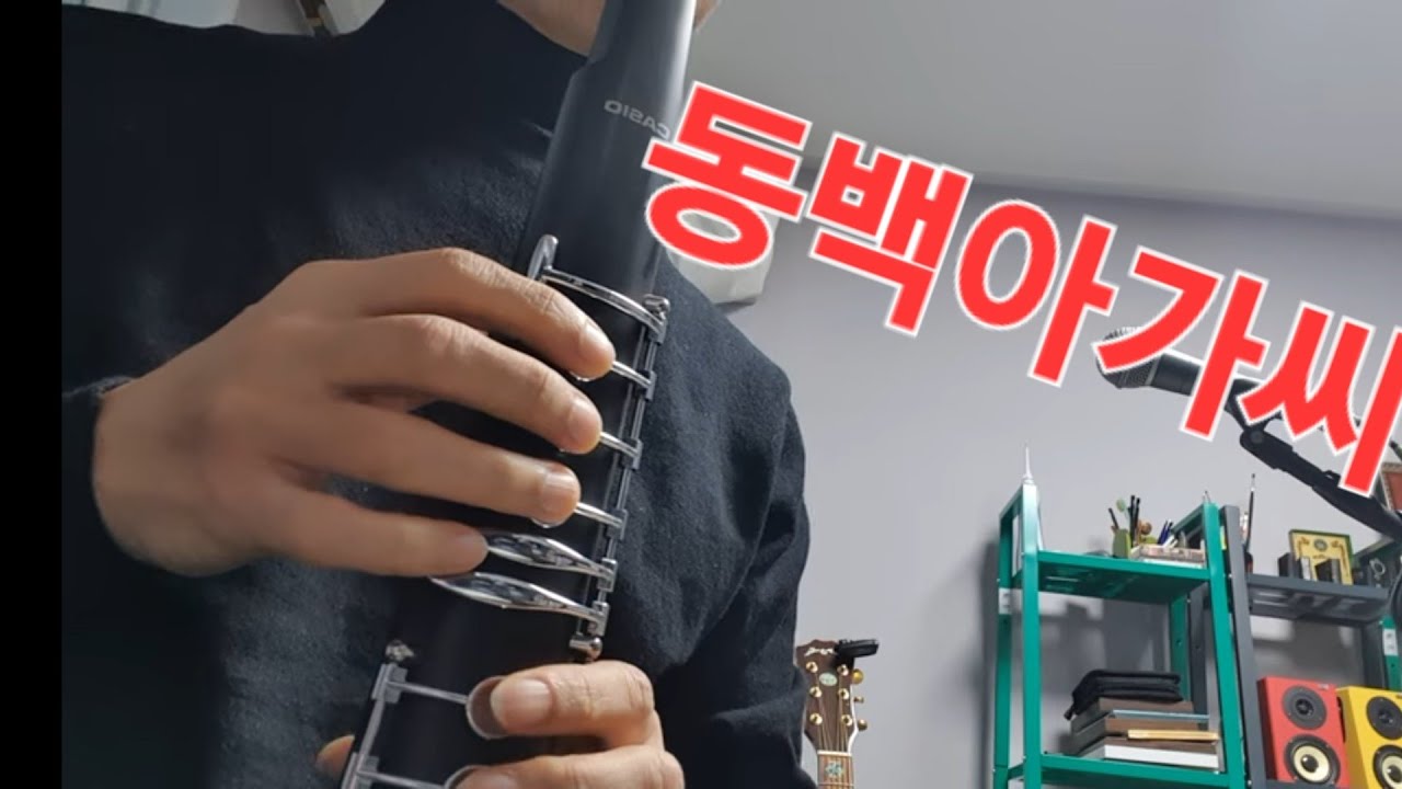 동백아가씨 : 디지털 호른(Digital horn)연주 - YouTube