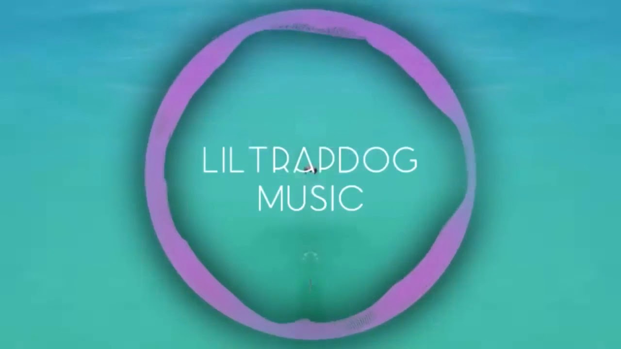 LilTrapDog - SynthesizeOG Diss Track - YouTube