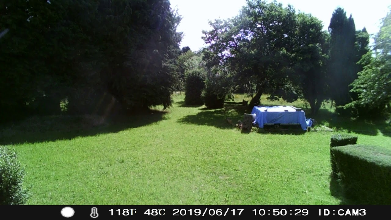 Apeman H45 Trail Wildlife Camera 3 of 6 Pictures Only Brittany, France ...