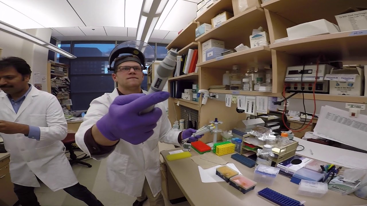 Mannequin Challenge in John Letterio Lab - YouTube