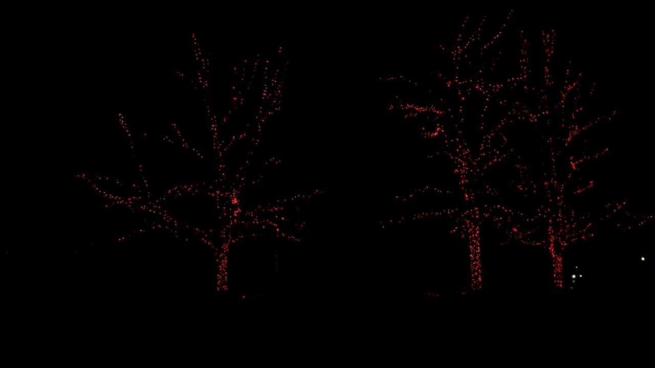 2015 Allen Light Show - 300 Violin Orchestra - YouTube