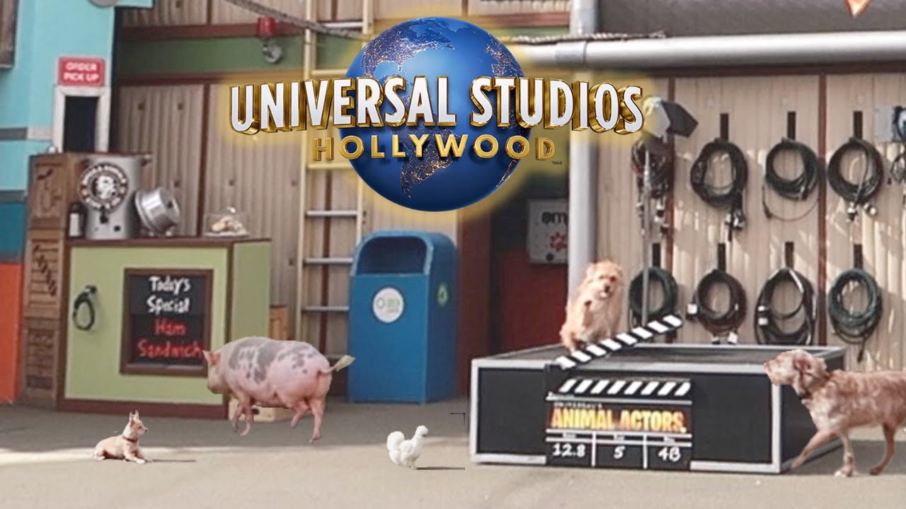 Universal Animal Ads