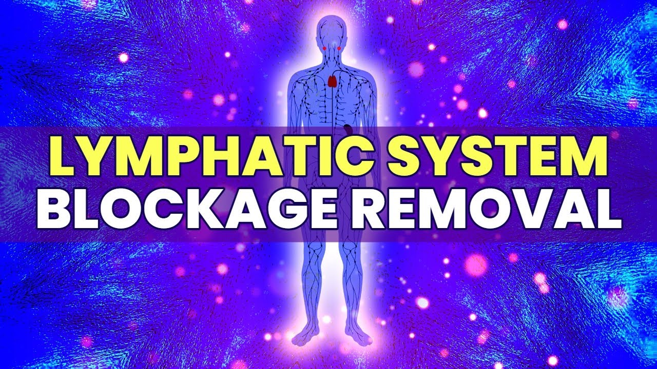 Lymphatic System Blockage Removal | Protect Your Body From Illness ...