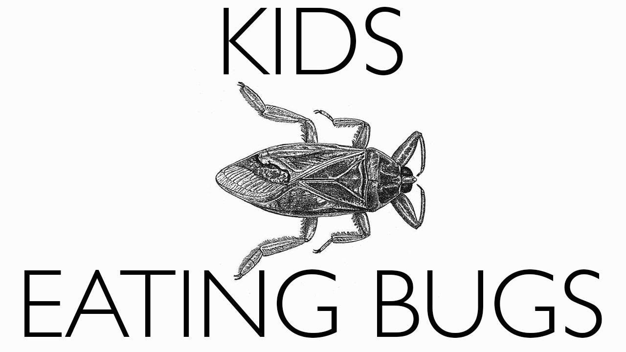 Kids Eating Bugs in Thailand - YouTube