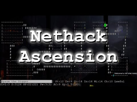 Full Nethack Ascension Stream, Random Character Selection - YouTube