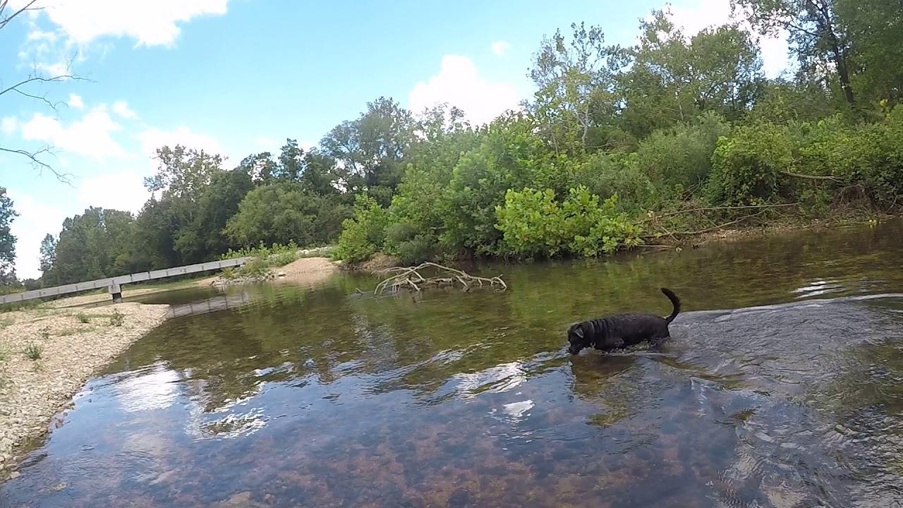 Swimming at Rippee Creek - YouTube
