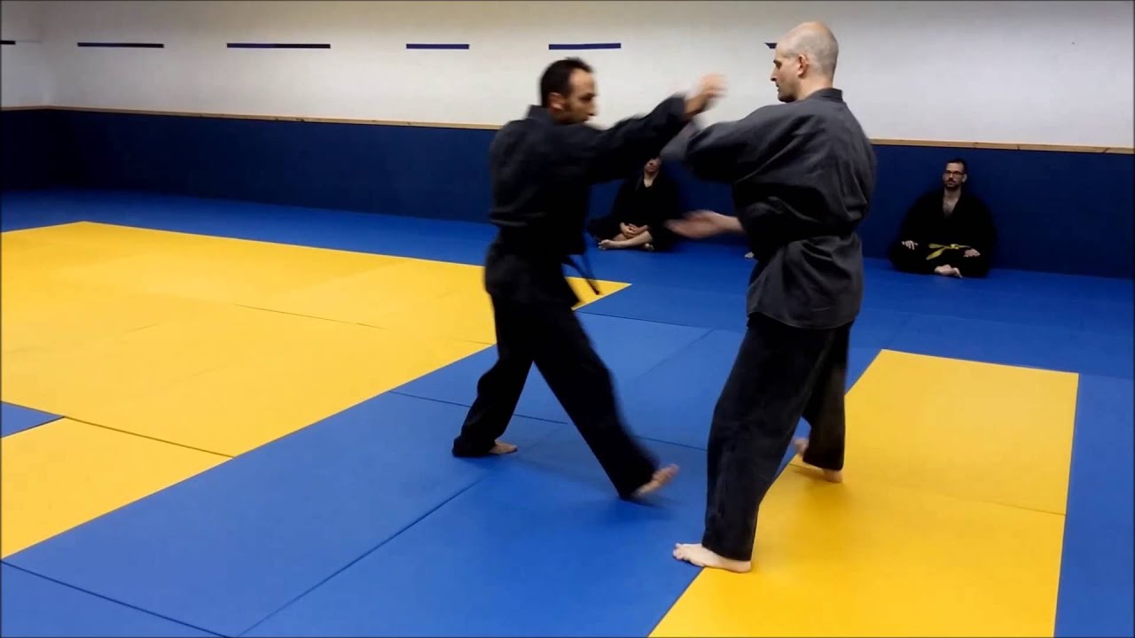 Part 1 - No Weapons - Tactical Ninjutsu Smart Fighting Dan 3 Sandan ...