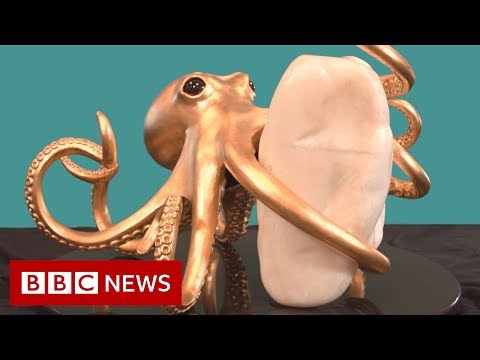 A pearl as you've never seen it before - BBC News