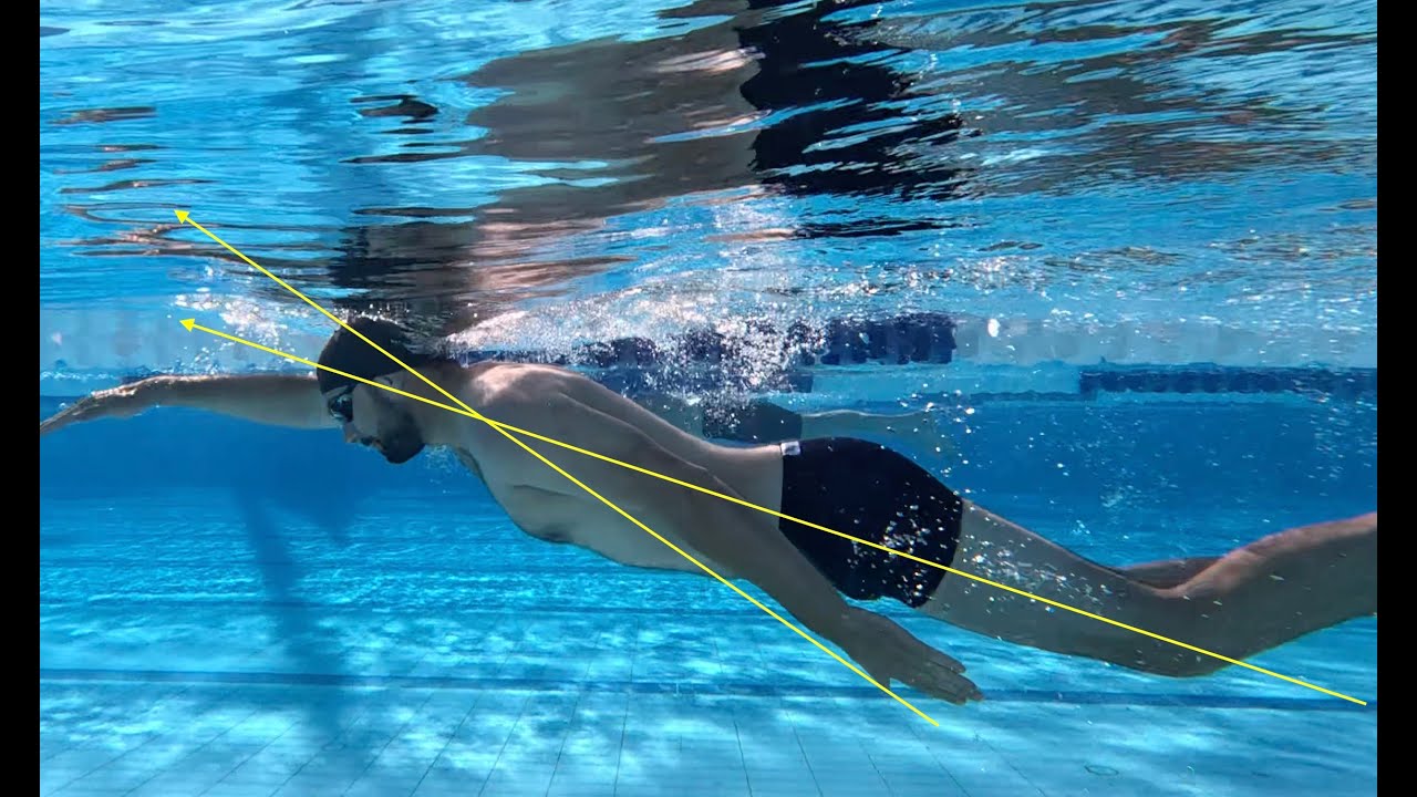 Head Position Freestyle - Video Analysis - Improve Stroke Length and ...