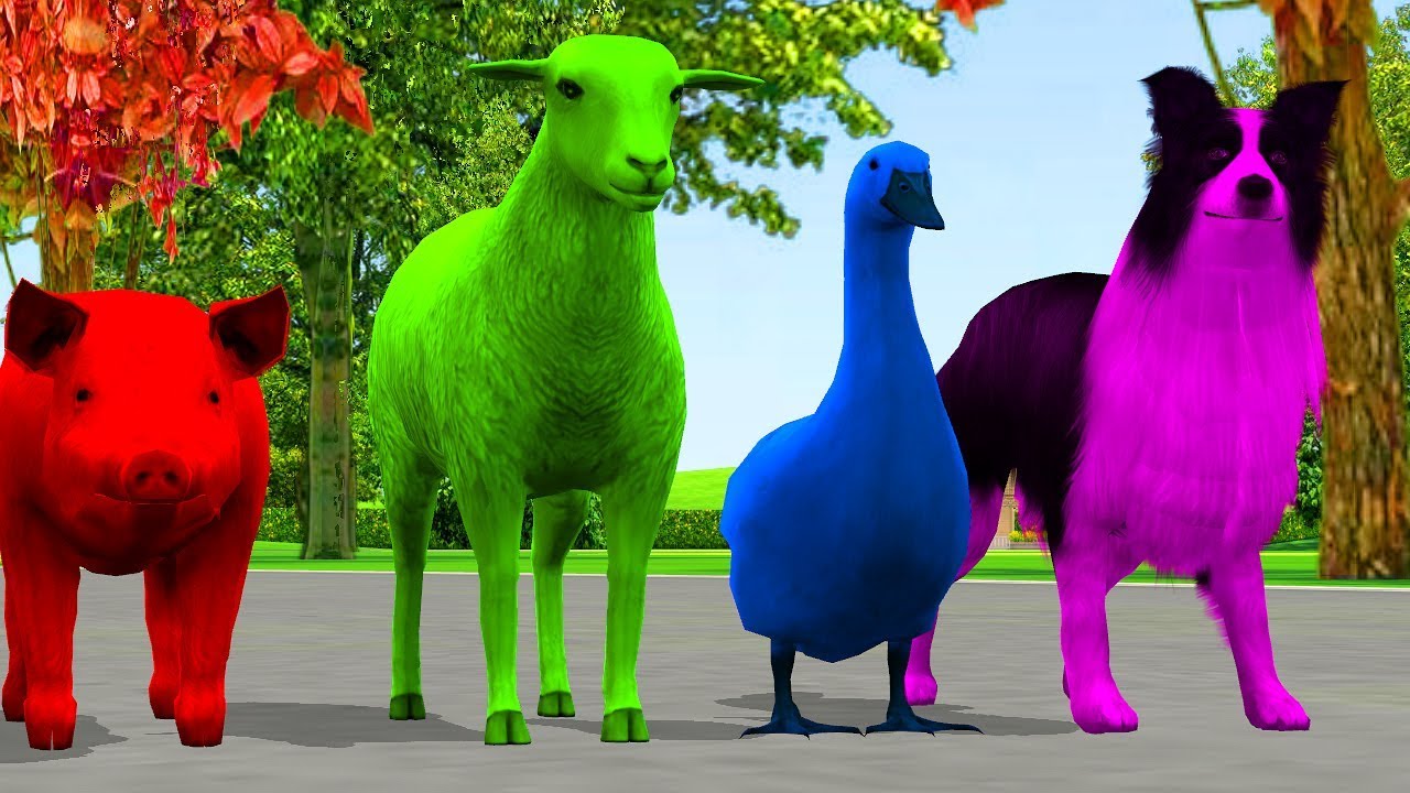 Pig Duck Dog Sheep Animation with Old MacDonald Had a Farm Nursery ...