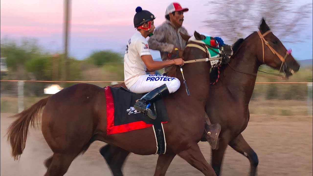 El CABALLO MÁS GANADOR DEL SUR DE SONORA | CARRERAS DE CABALLOS EN ...