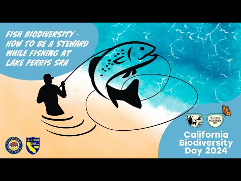 BIODIVERSITY DAY: Fish Biodiversity - How To Be A Steward While Fishing ...