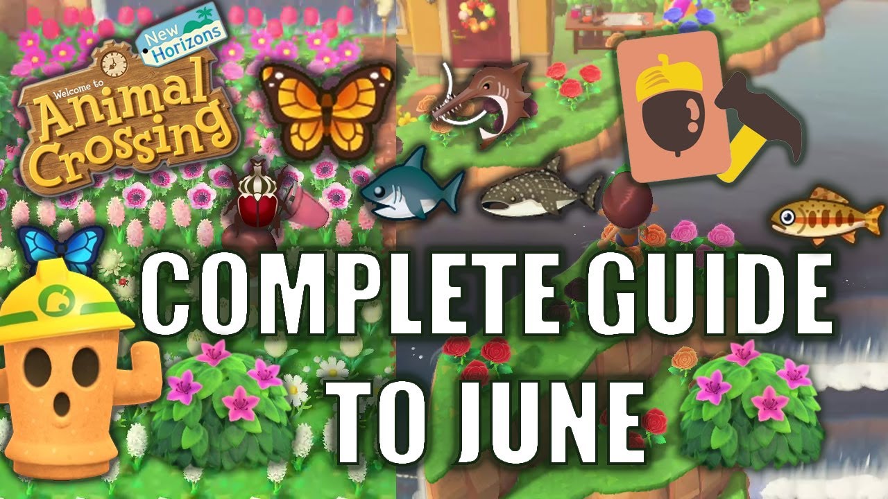 COMPLETE GUIDE TO JUNE! ALL Fish, Bugs, Shrubs and Seasonals in Animal ...