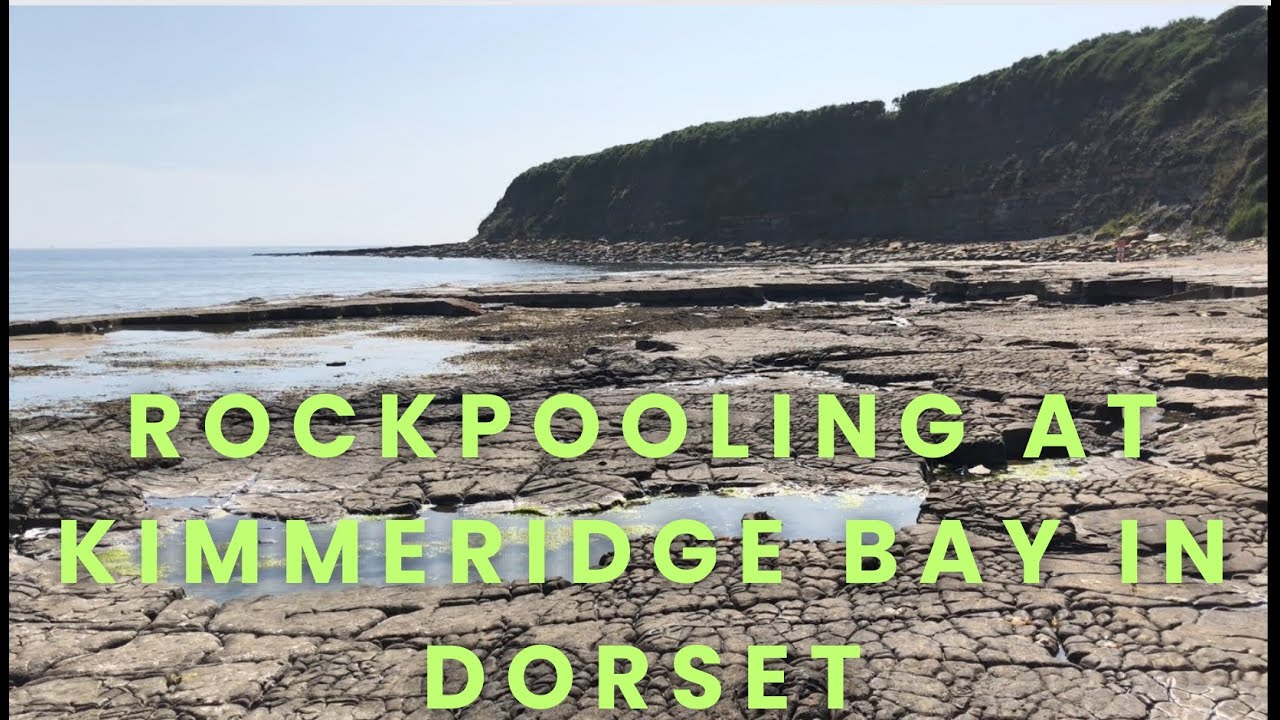 Rockpooling at Kimmeridge Bay in Dorset (Jurassic coast) - YouTube