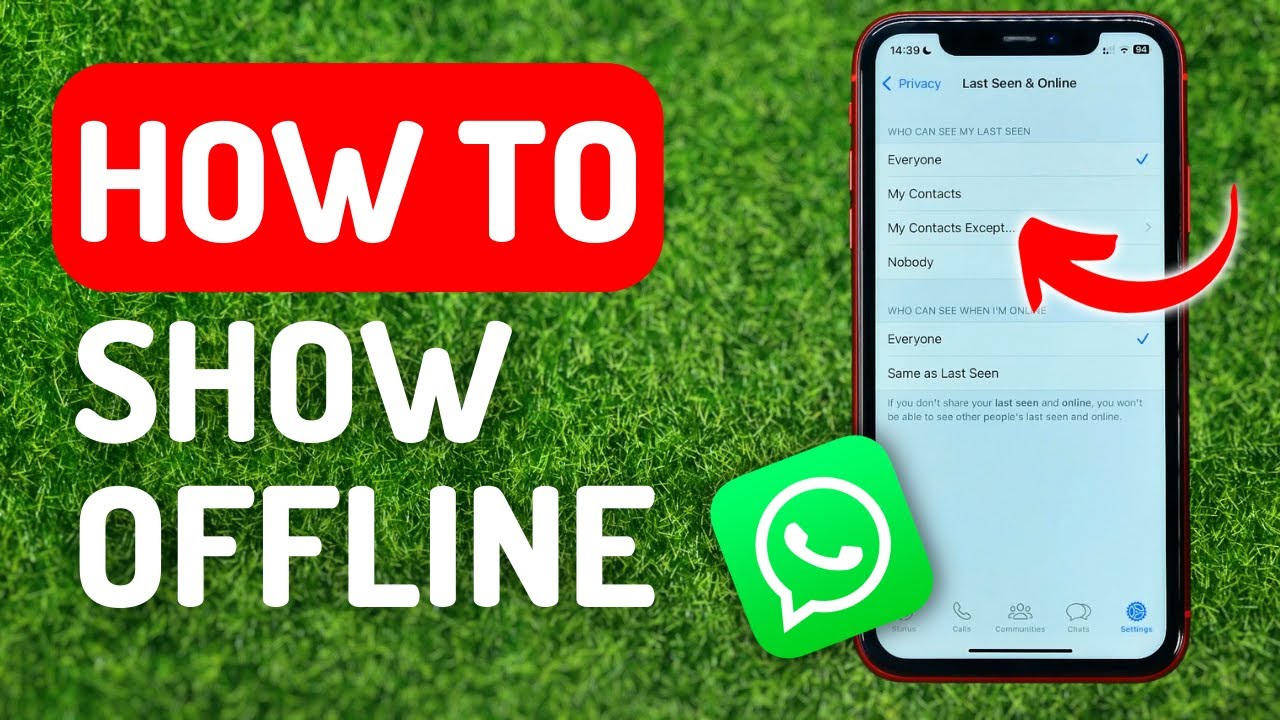 How to Show Offline in Whatsapp - Full Guide - YouTube