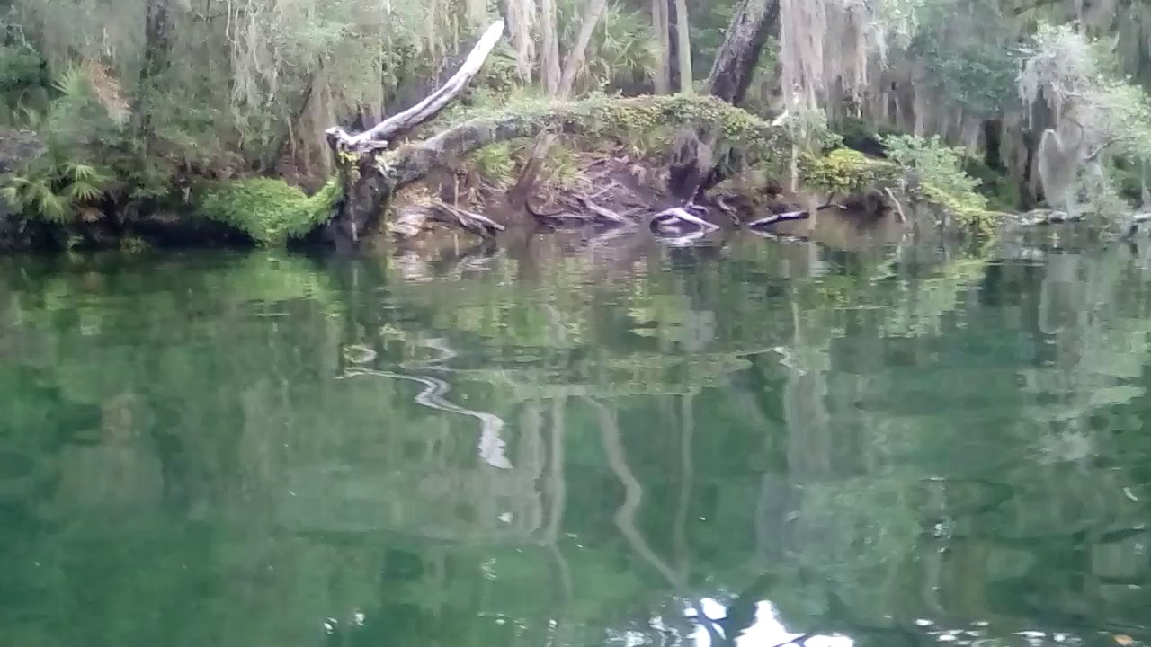 Blue Springs river - YouTube