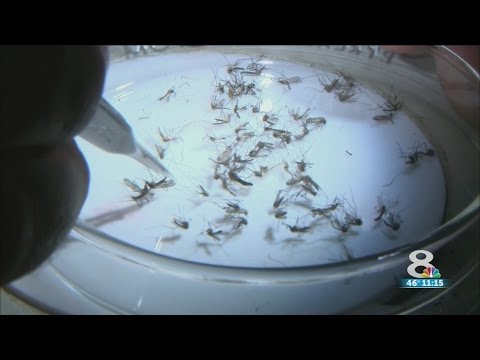 CDC issues warning about virus