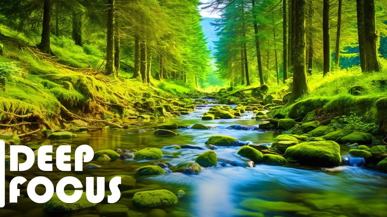 Focus Music for Work and Studying, Background Study Music for ...