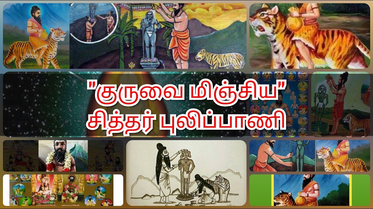 சித்தர் புலிப்பாணி வரலாறு/SIDDHAR PULIPANI HISTORY - YouTube