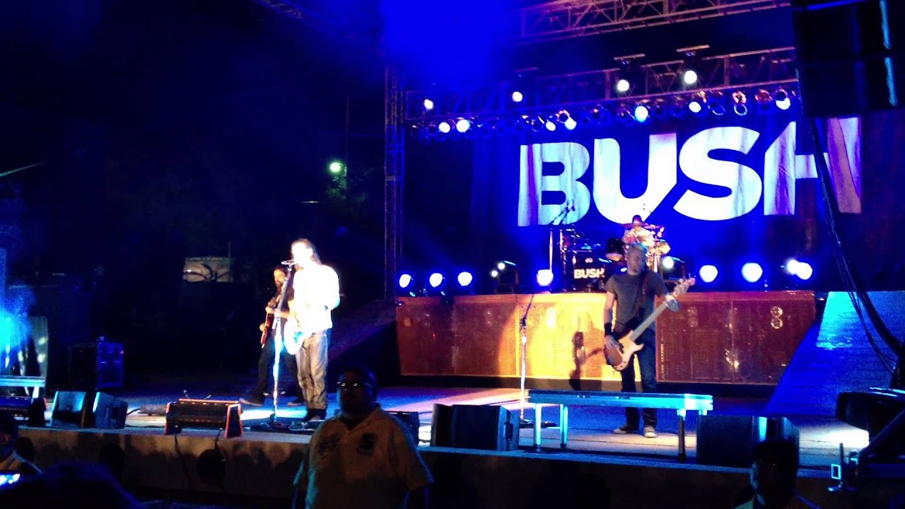 Bush - YouTube