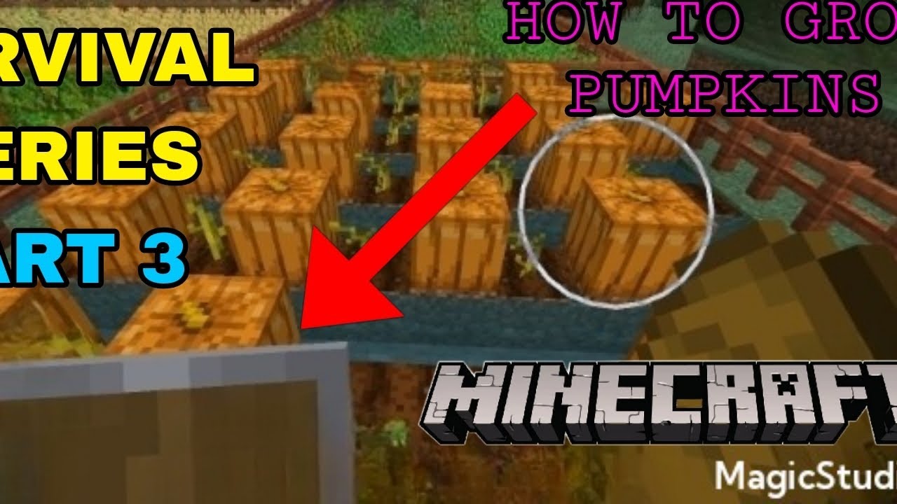 MINECRAFT SURVIVAL SERIES PART 3|HOW TO GROW PUMPKINS |MANGROOVE BIOME ...
