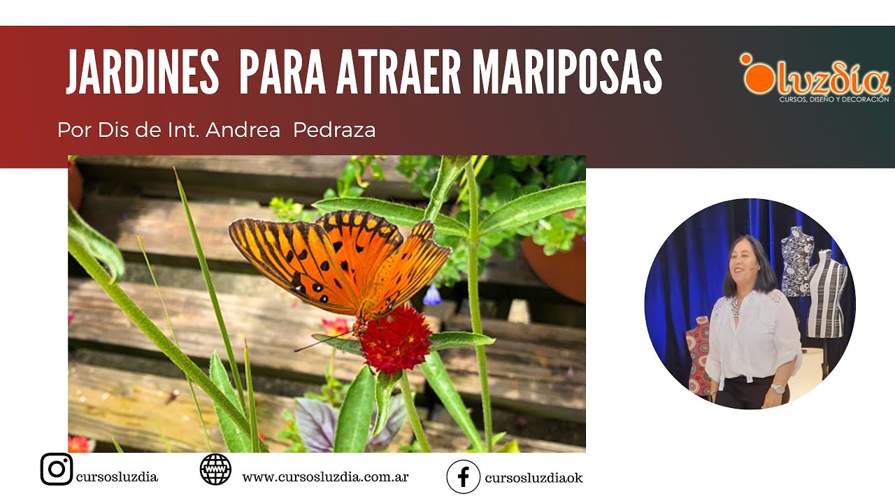 Jardines para atraer mariposas - YouTube