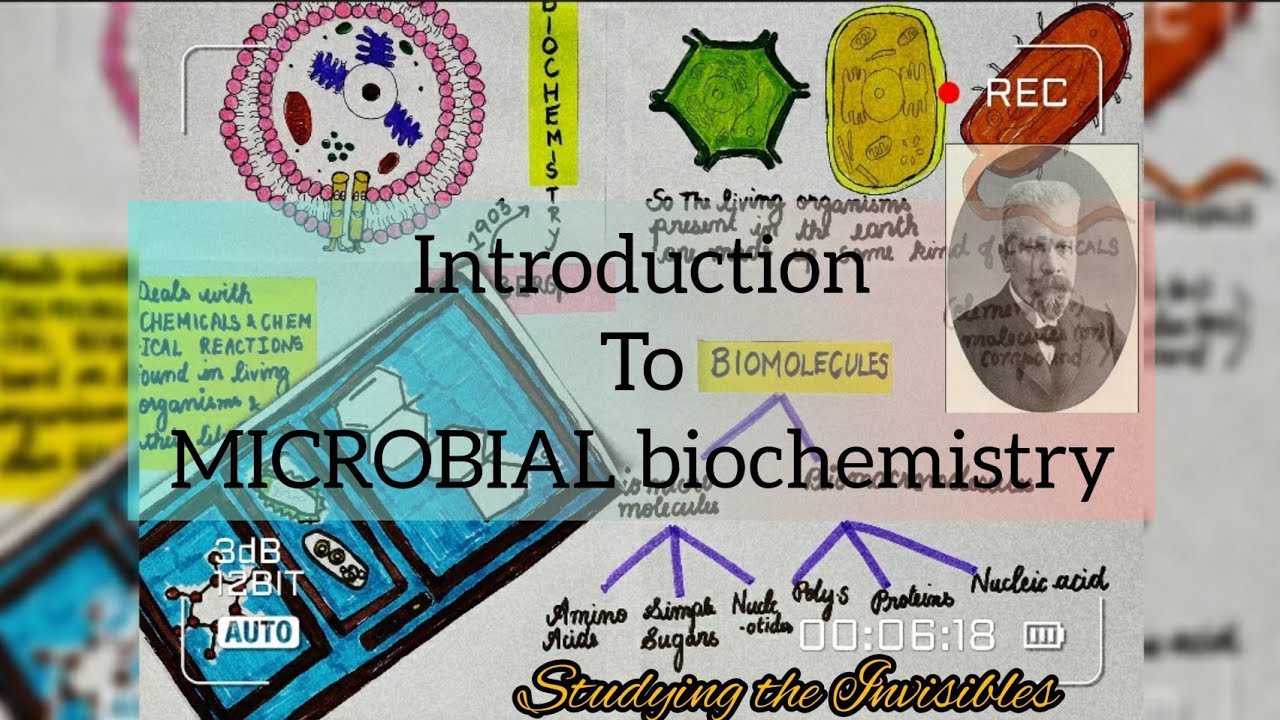 MICROBIAL BIOCHEMISTRY#microbiology #mbbs #biochemistry # ...