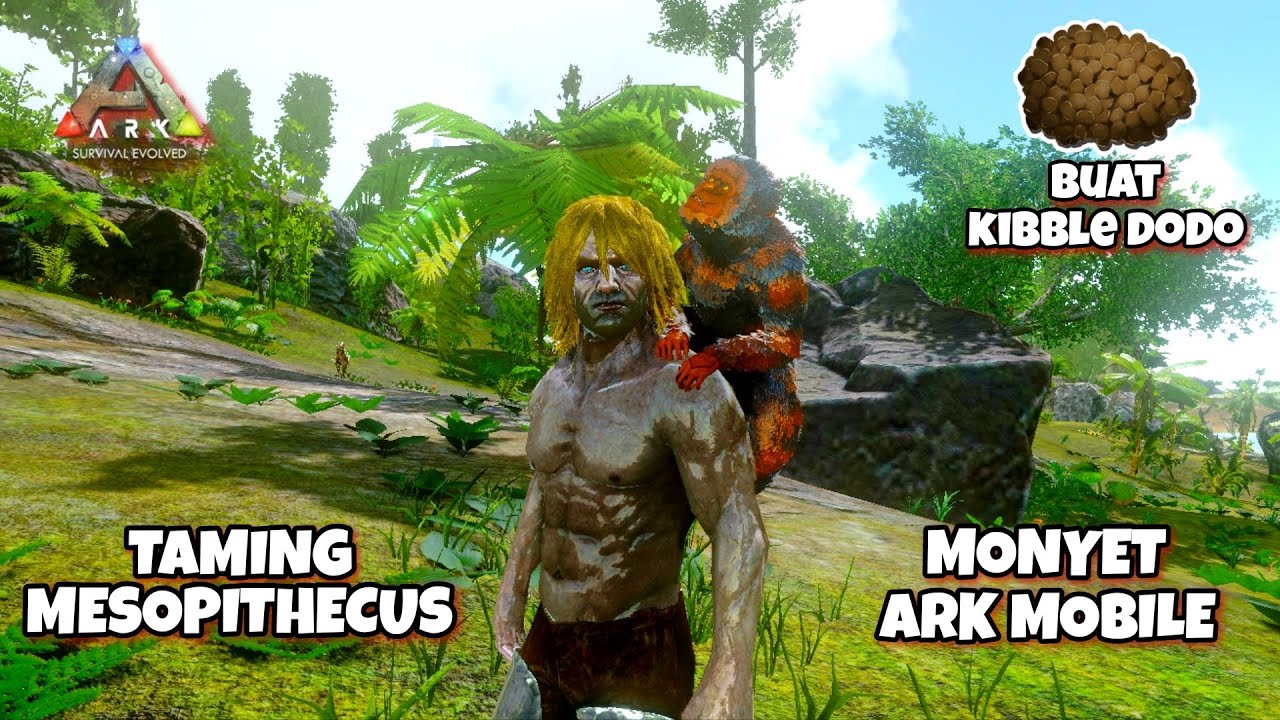 TAMING MESOPITHECUS ARK MOBILE + BUAT KIBLLE DODO - YouTube