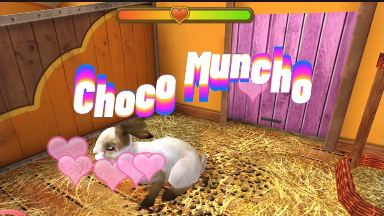 Episode 1. Pet World - Definitely a Cuteness Explosion 🐇🐹🐰 - YouTube