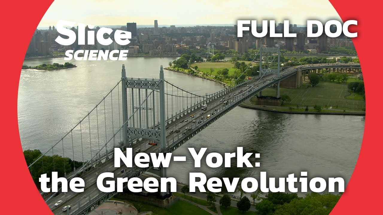 Nature's Return to New York City | SLICE SCIENCE | FULL DOCUMENTARY ...