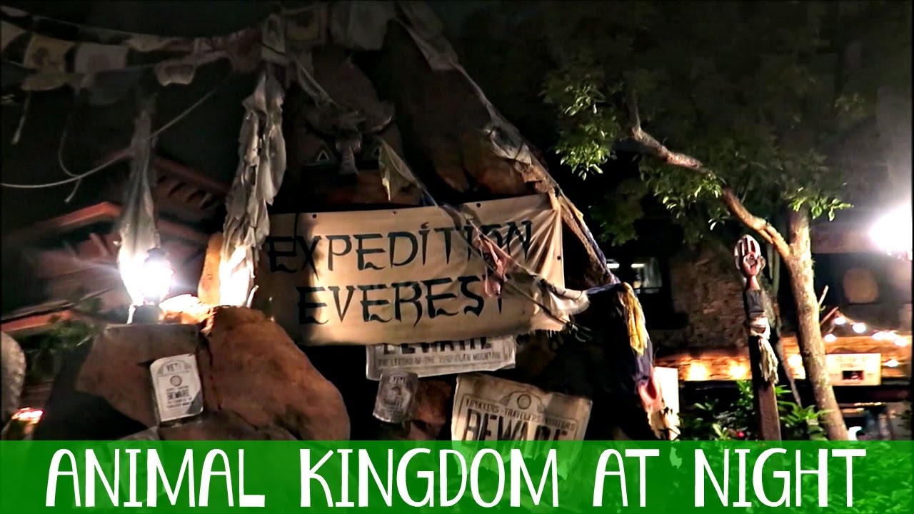 ANIMAL KINGDOM AT NIGHT | Walt Disney World Vacation June 2016 Day 4 ...