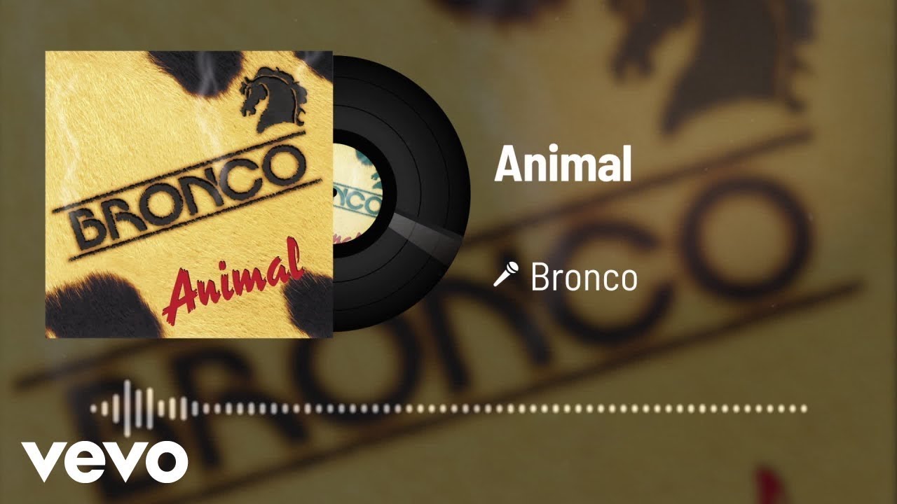 Bronco - Animal (Cover) - YouTube