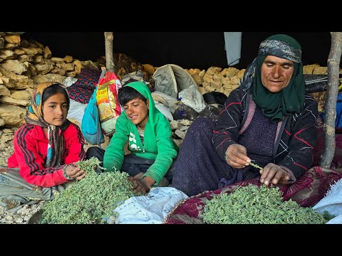 A Mother's Fight for Survival in the Zagros Mountains | Family Survival Story 🏔️❤️