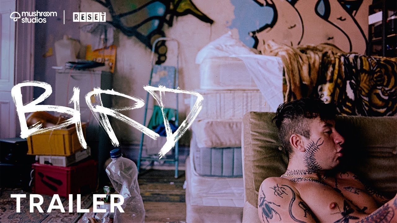 Bird | Official Trailer (in cinemas now) - YouTube