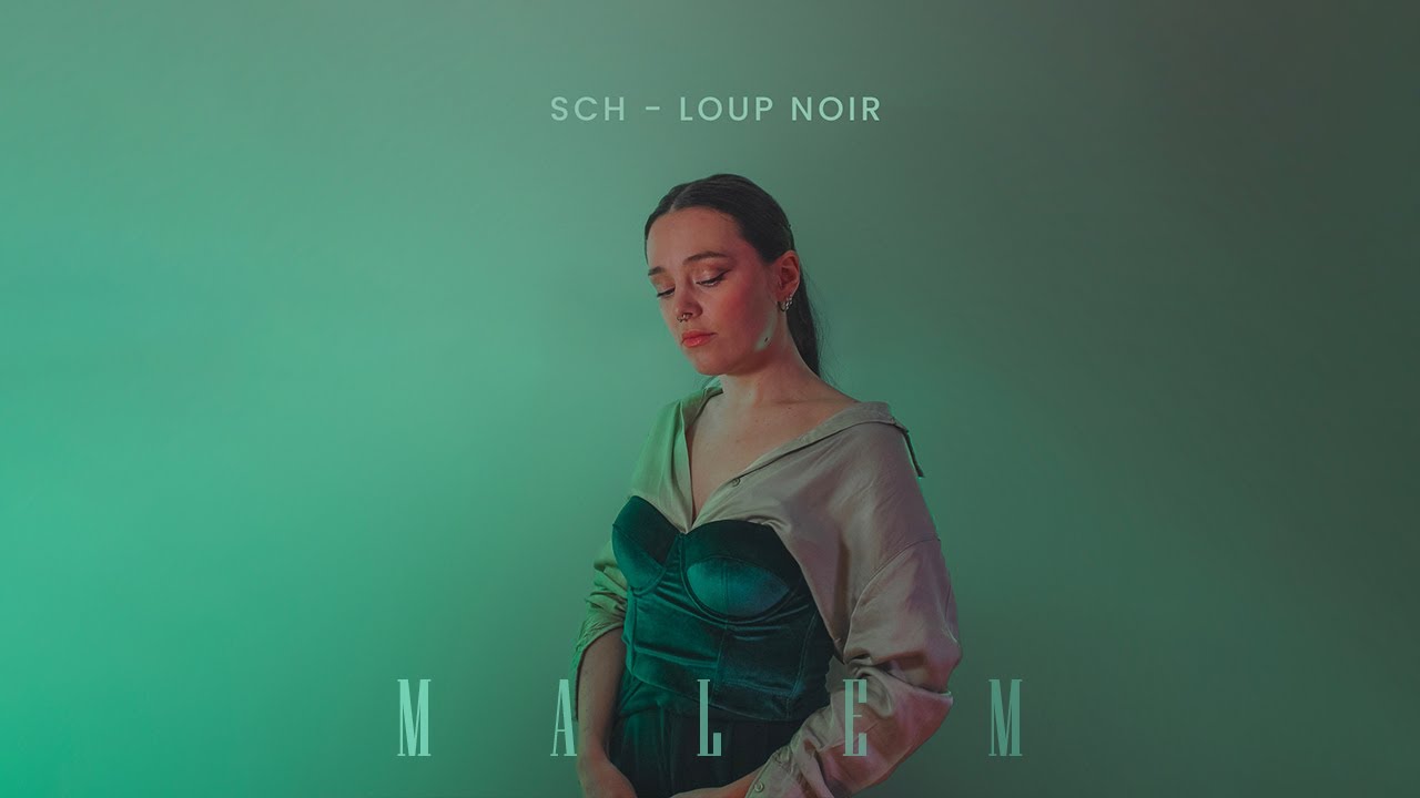 Loup Noir - SCH Cover - YouTube