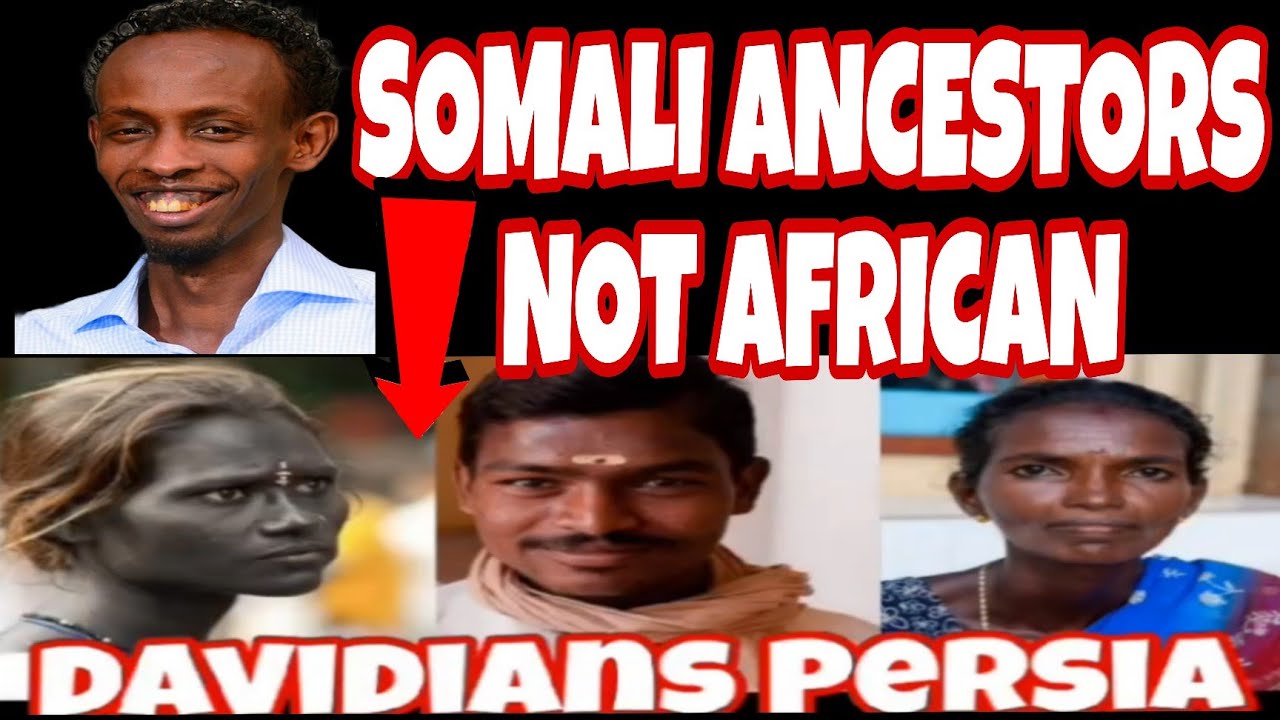 SOMALI DNA - YouTube