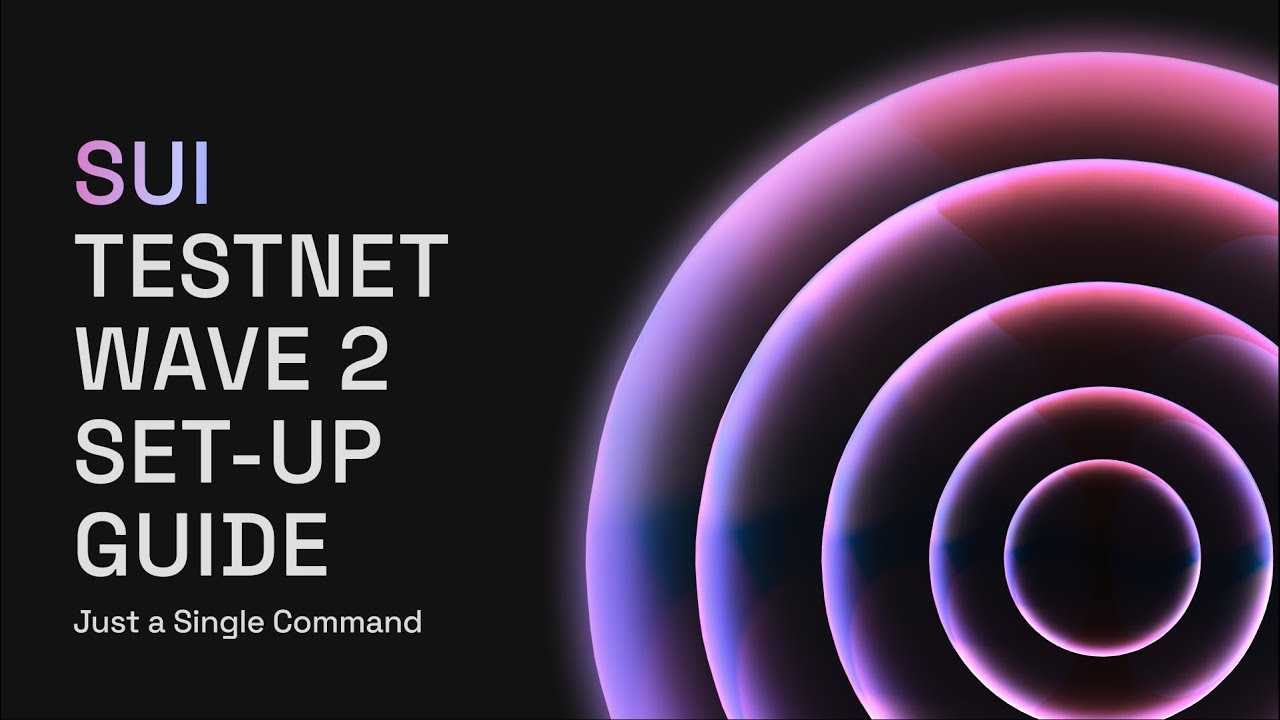 Sui Testnet Wave 2 Node Setup Guide "Just a Single Command" - YouTube