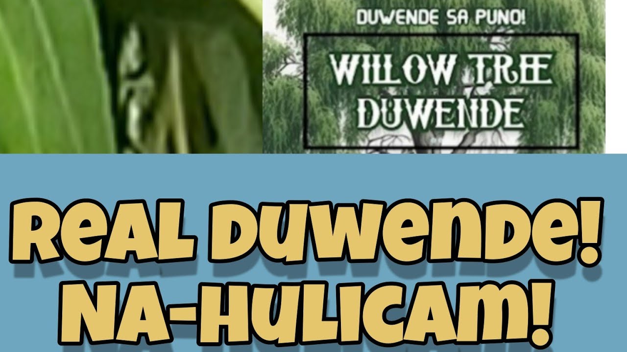 Real elf duende caught on camera! no. 2 proof elves are real totoong ...